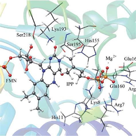 Conversion Of Hmbpp Into Ipp And Dmapp By Isph Download Scientific Diagram