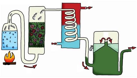 Understanding Extraction Temperatures