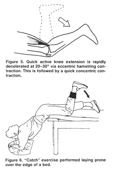 Hamstring Tantrums Flutter Exercise Why Use It Loris Bertolacci