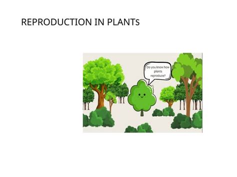 Reproduction In Plants Ppt Class 7pptx