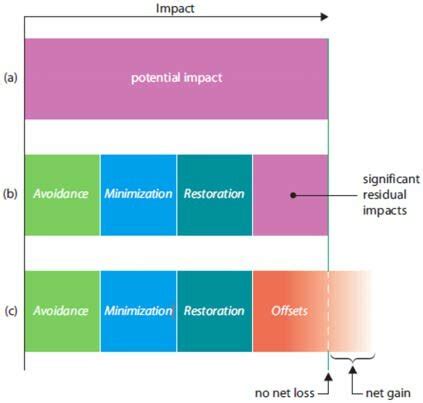 The Mitigation Hierarchy Framework A All Project S Potential Download Scientific Diagram