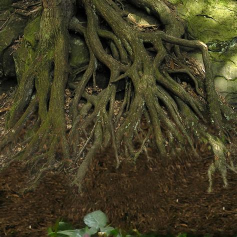 Photoshop Art Grid Pxleyes Com