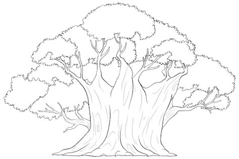Premium Vector Majestic Tree Line Art Illustration