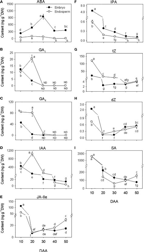 Frontiers Temporal And Spatial Transcriptional Regulation Of Phytohormone Metabolism During