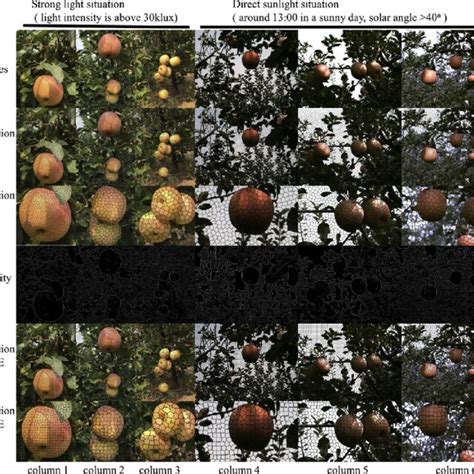 e a comparison of ds and dse algorithms on the pre segmentation images