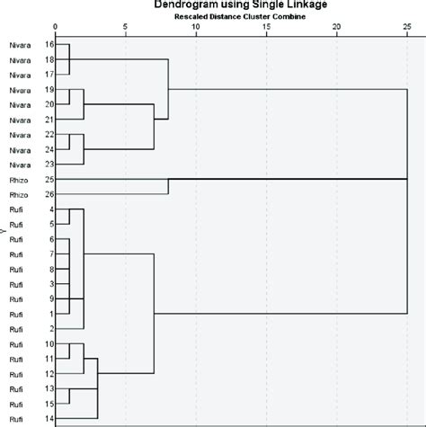 Dendrogram Produced By Cluster Analysis Of Molecular Data Of Wild Rice
