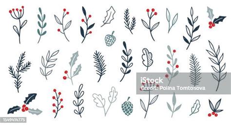 크리스마스 식물 잎 꽃 세트입니다 손으로 그린 낙서 스케치 홀리 꽃 크리스마스 트리 잎 겨울 가지 요소 휴일 장식 소박한 화환