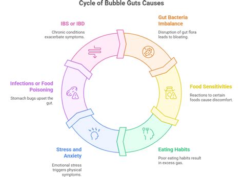 What Causes Bubble Guts Symptoms Triggers And Fixes