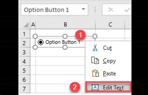 Adicionar E Agrupar Um Botão De Opção No Excel