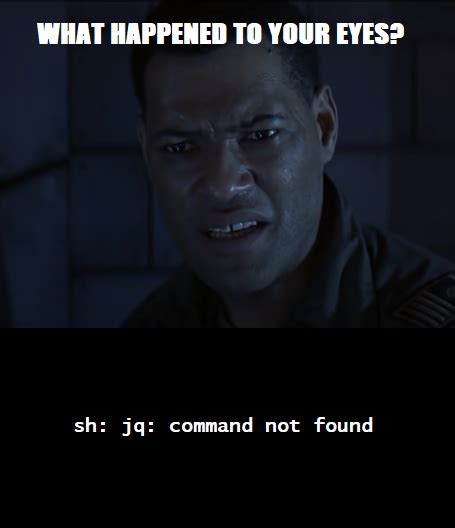 What Trying To Read Unformatted Json Is Like R ProgrammerHumor