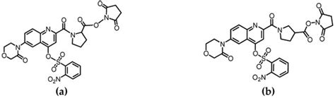 Molecules Special Issue Derivatization In Analytical Chemistry