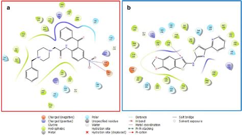 The Key Interactions Between The Pank At The Atp Binding Site Residues