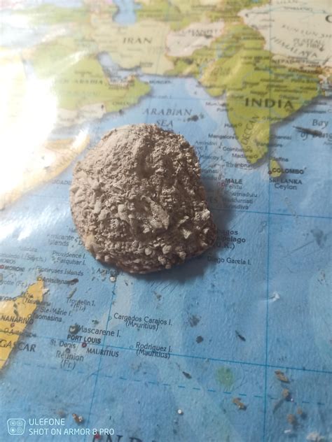 Why Does This Shell Look Like This R Shells