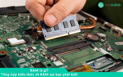Ram Là Gì Tổng Hợp Kiến Thức Về Ram Mà Bạn Phải Biết