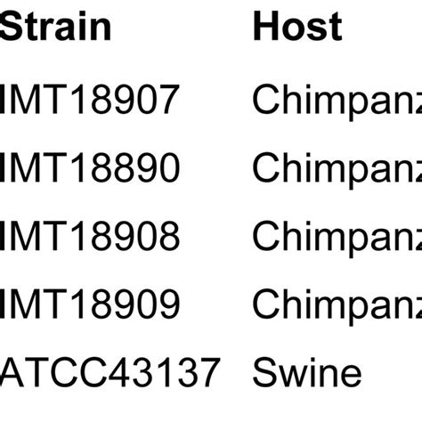 Dendrogram Showing Macrorestriction Patterns Of P Multocida Isolates