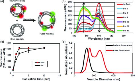 A Schematic Illustration Of The Fret Based Vesicle Fusion Assay Download Scientific Diagram