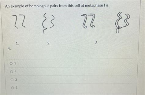 Solved Androgen Insensitivity Is Caused By A Mutation In The