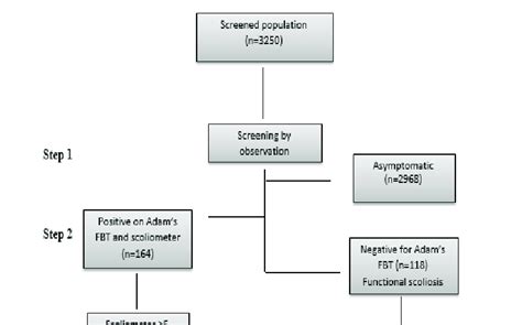 Schematic Representation Of The Study Download Scientific Diagram