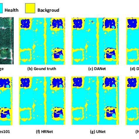 Segmentation Performance Of Different Methods On The Wheat Rust Dataset