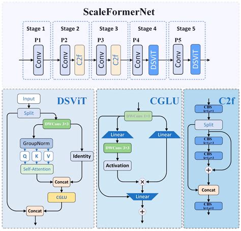 Sf Detr A Scale Frequency Detection Transformer For Drone View Object