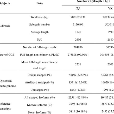 Overview Of Results Of Pacbio Iso Seq Download Scientific Diagram