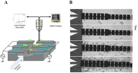 Figure 6 From Lab On Chip Microfluidics System For Single Cell Mass Measurement A Comprehensive