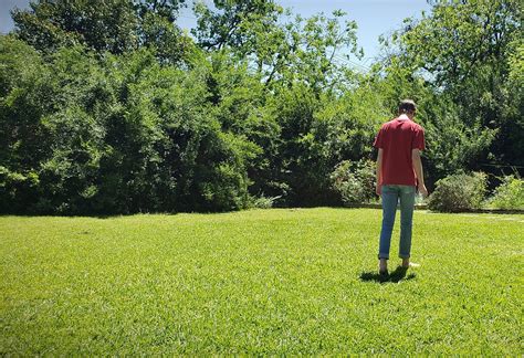 War And Peace With Turf
