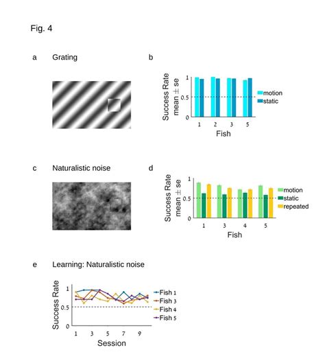 Comparison Between Motion Cue And Static Cues For Different Stimulus