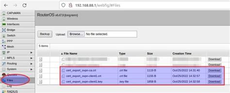 mikrotik openvpn server setup shellhacks