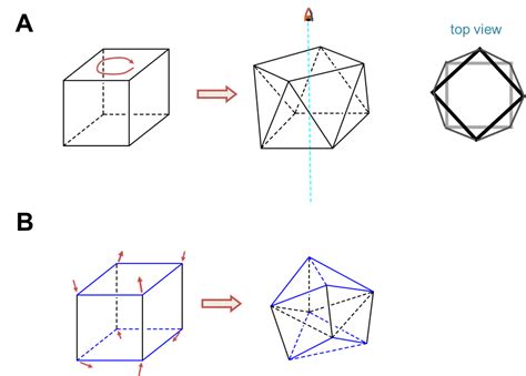 4 1 4 Coordination Numbers And Structures Chemistry Libretexts