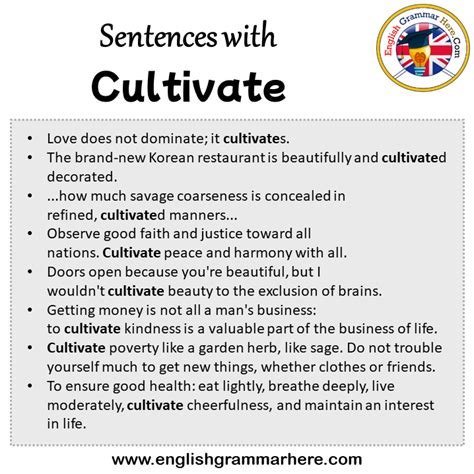 Sentences With Cultivate Cultivate In A Sentence In English Sentences