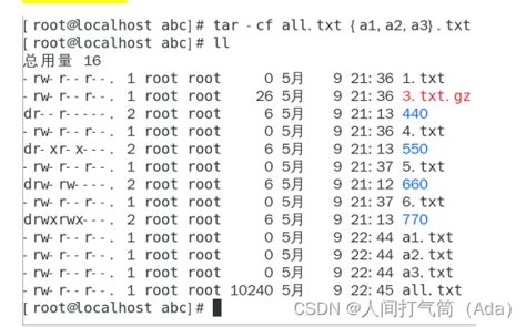 运维小白必学篇之基础篇第九集：linux文件管理实验 csdn博客