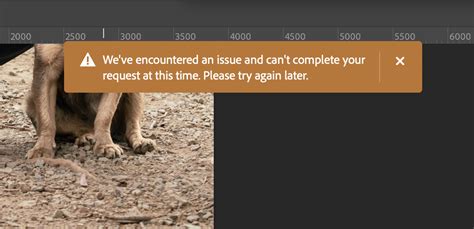 Solved Generative Remove Failed Or General Adobe Serve Adobe