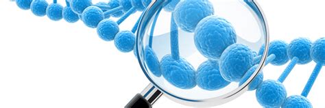 Clinical Interpretation When Is A Variant A Mutation Genomics