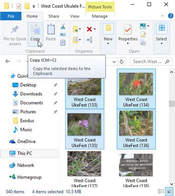 How To Cut Copy And Paste In Windows Dummies