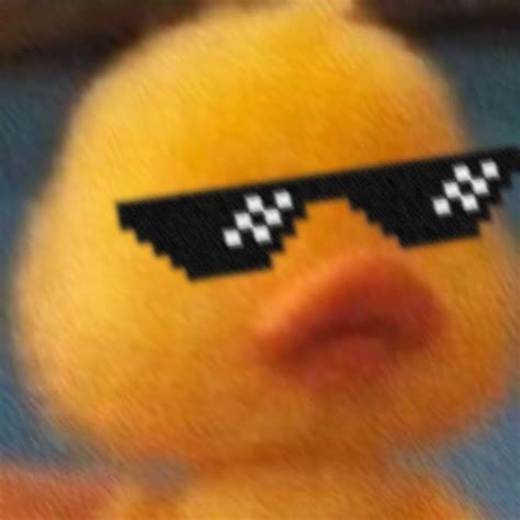 Duck Wearing Glasses