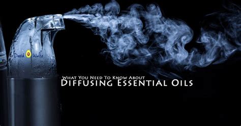 What You Need To Know About Diffusing Essential Oils David Wolfe Shop