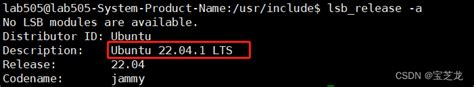 Ubuntu 22041 安装mysql及配置c开发环境（终端安装方式） Csdn博客