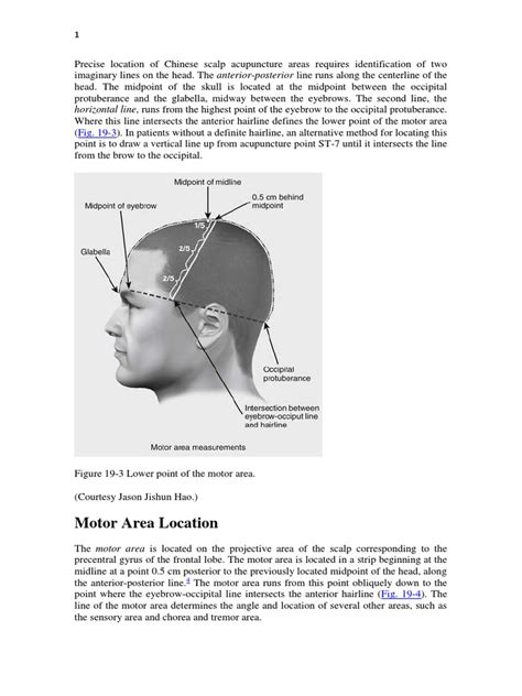 Precise Location Of Chinese Scalp Acupuncture Areas Requires Identification Of Two Imaginary