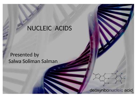 Nucleic Acid Types Chemistry And Structure Pptx Biological