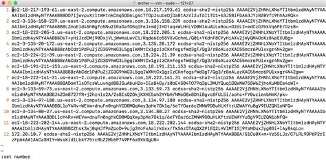 solutions 】移除 offending ssh key