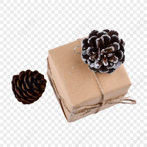 소나무 열매와 크리스마스 선물 패키지솔방울파인 볼선물 상자 Png 일러스트 무료 다운로드 Lovepik