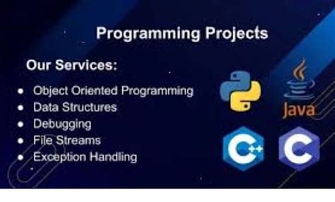 Do Javacpppython Programming And Dsa And Oop Codes By Muhammadaftab8