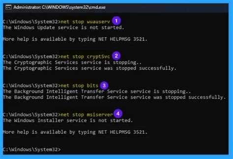 Top 5 Ways To Clear Update Cache On Windows 11
