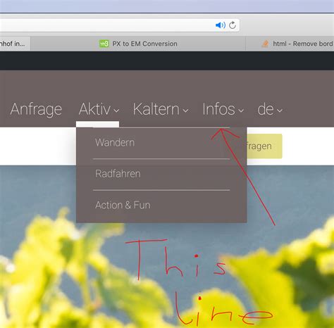 Dropdown Menu Remove First Element Border On Top Support Themeco Forum