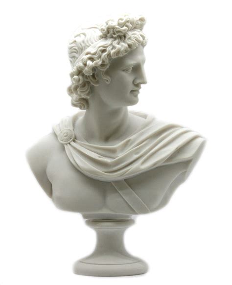 Greek Roman Busts At Glen Williams Blog