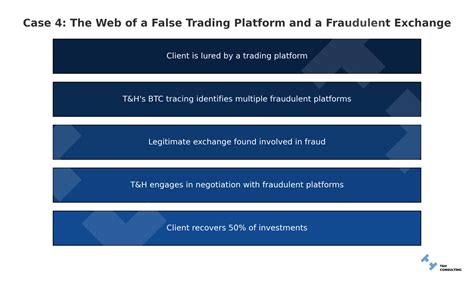 Unmasking Cryptocurrency Fraud Case Breakdowns By T H