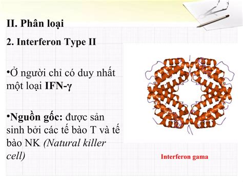 Tìm Hiểu Về Interferon Ppt