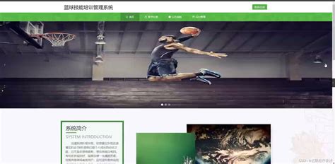 篮球技能培训管理系统 源码 开题 CSDN博客