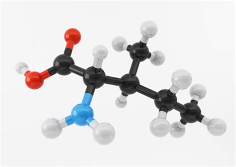 3d Model Of Amino Acids